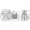 Hi-Flow Series Pool Pump 3.0HP – Pool Shop Australia