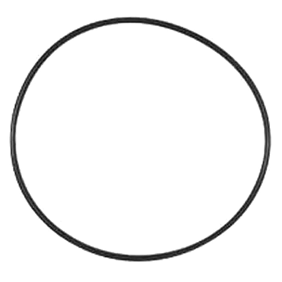 POOLRITE XL DE FILTER LID O RING – Pool Shop Australia