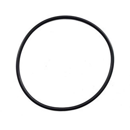TRi Electrode O'Ring – Pool Shop Australia